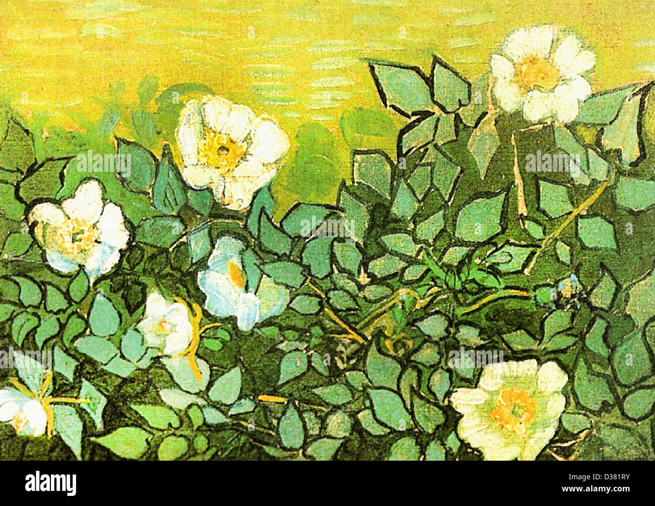 Painting roses hi-res stock photography and images - Alamy