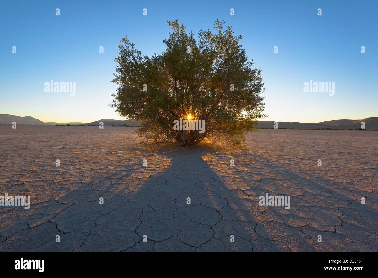 Physical symmetry hi-res stock photography and images - Alamy