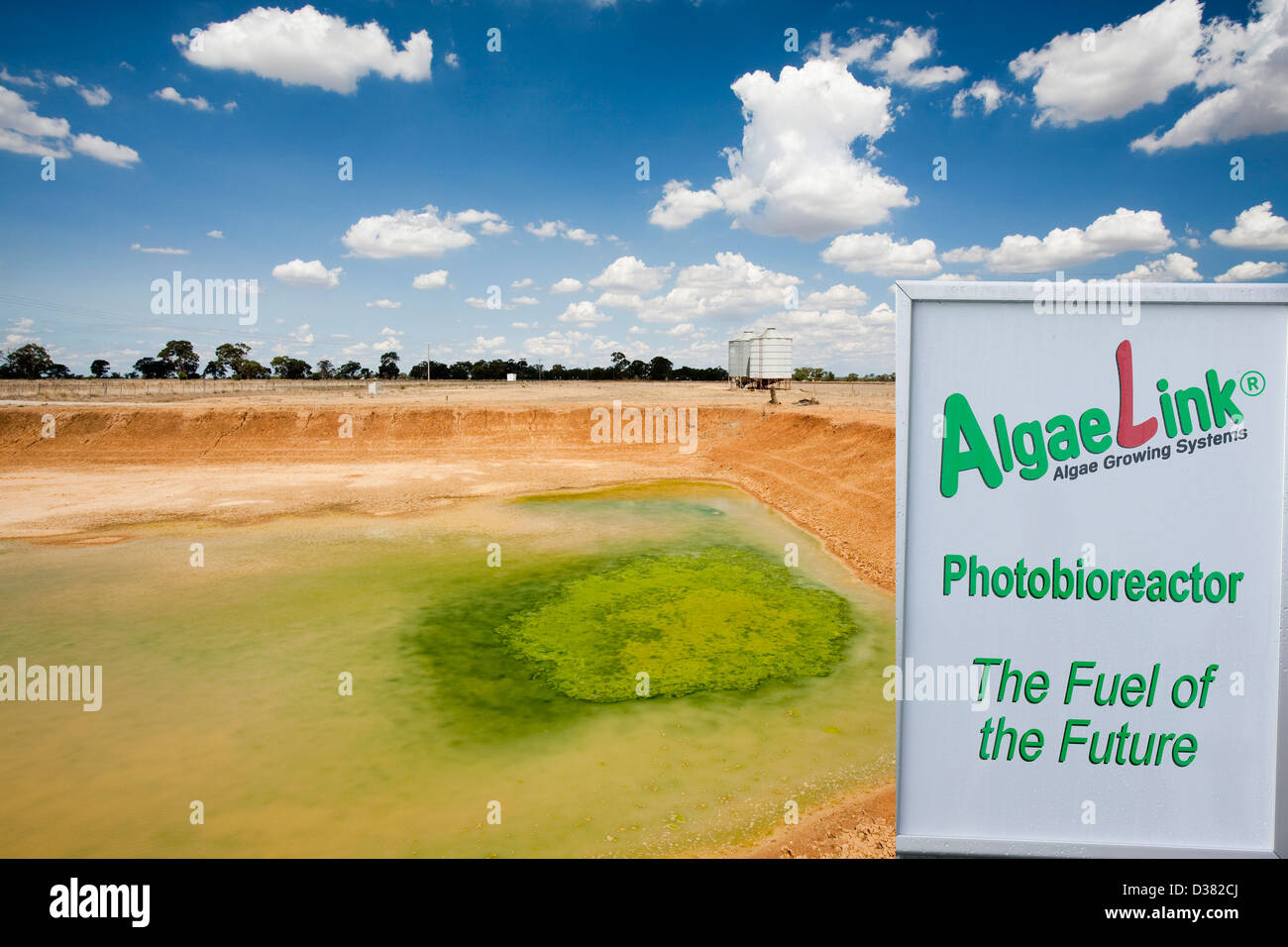 Montage of algae in drought stricken famers dam and algae poster Stock ...