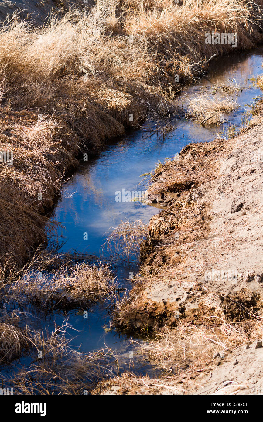 Drainage ditch filled with little water Stock Photo - Alamy
