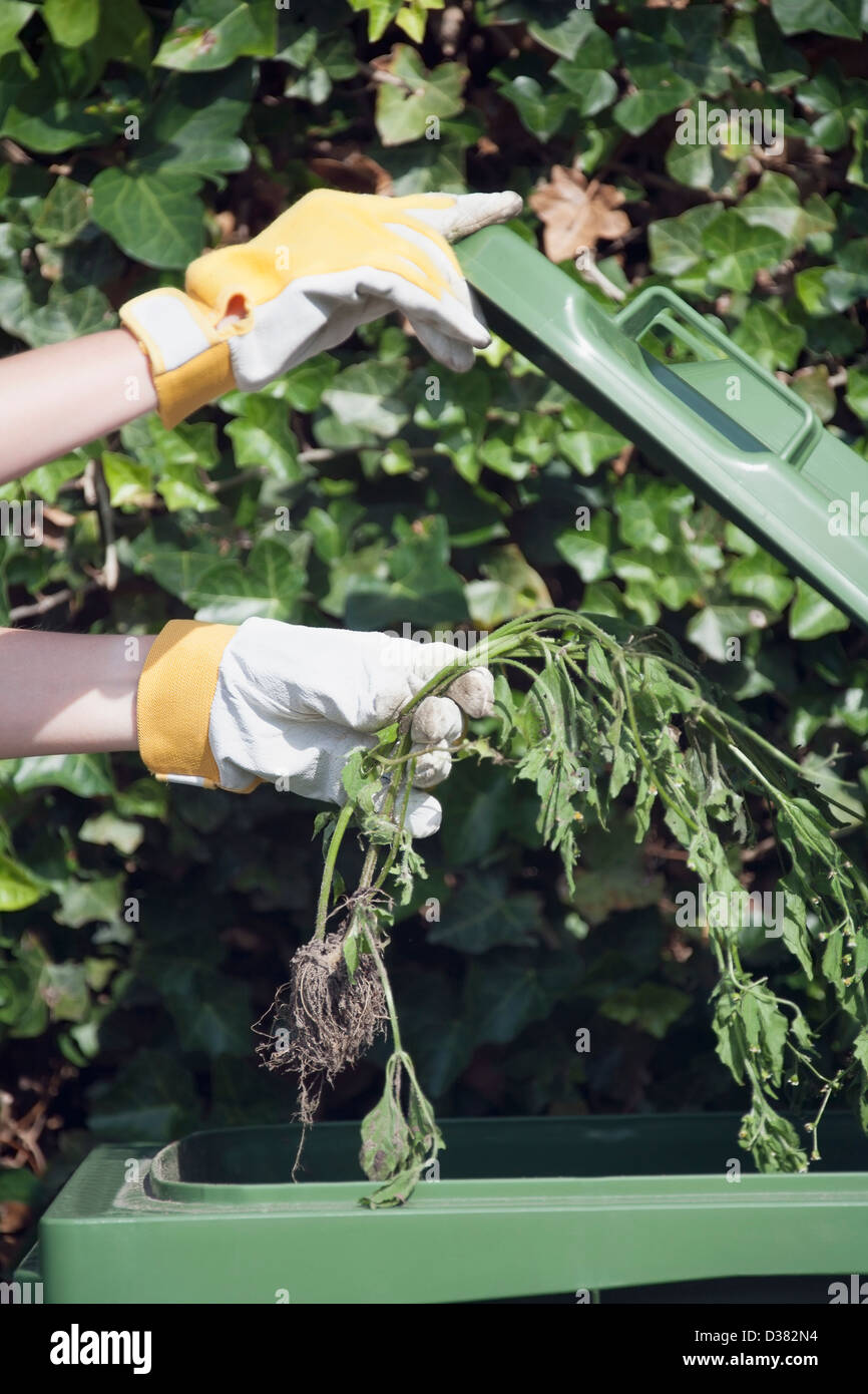 Weed bin hi-res stock photography and images - Alamy