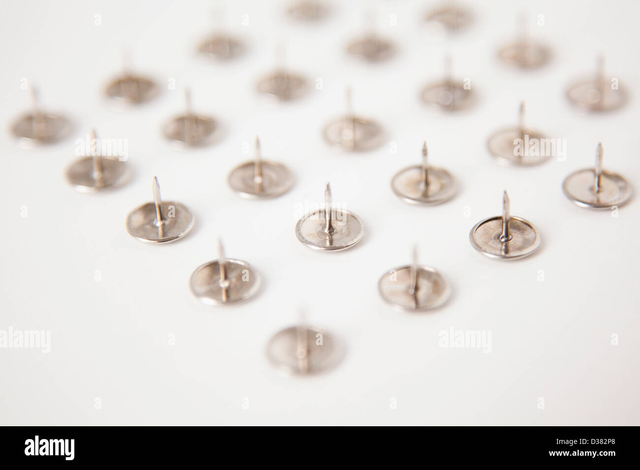 Studio Shot of rows of Thumbtack Stock Photo - Alamy