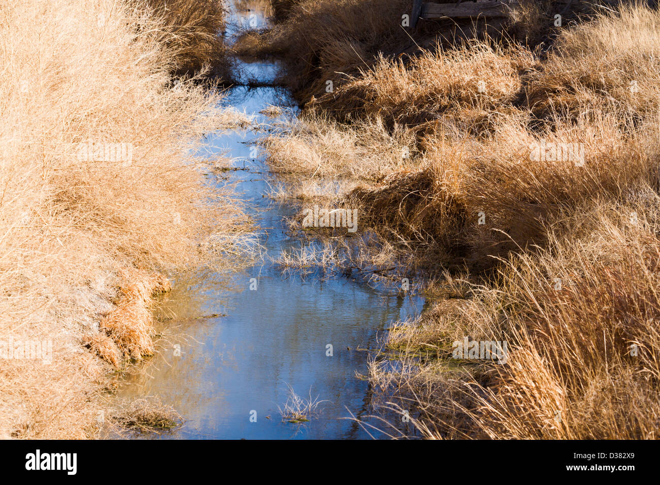 Drainage ditch filled with little water Stock Photo - Alamy
