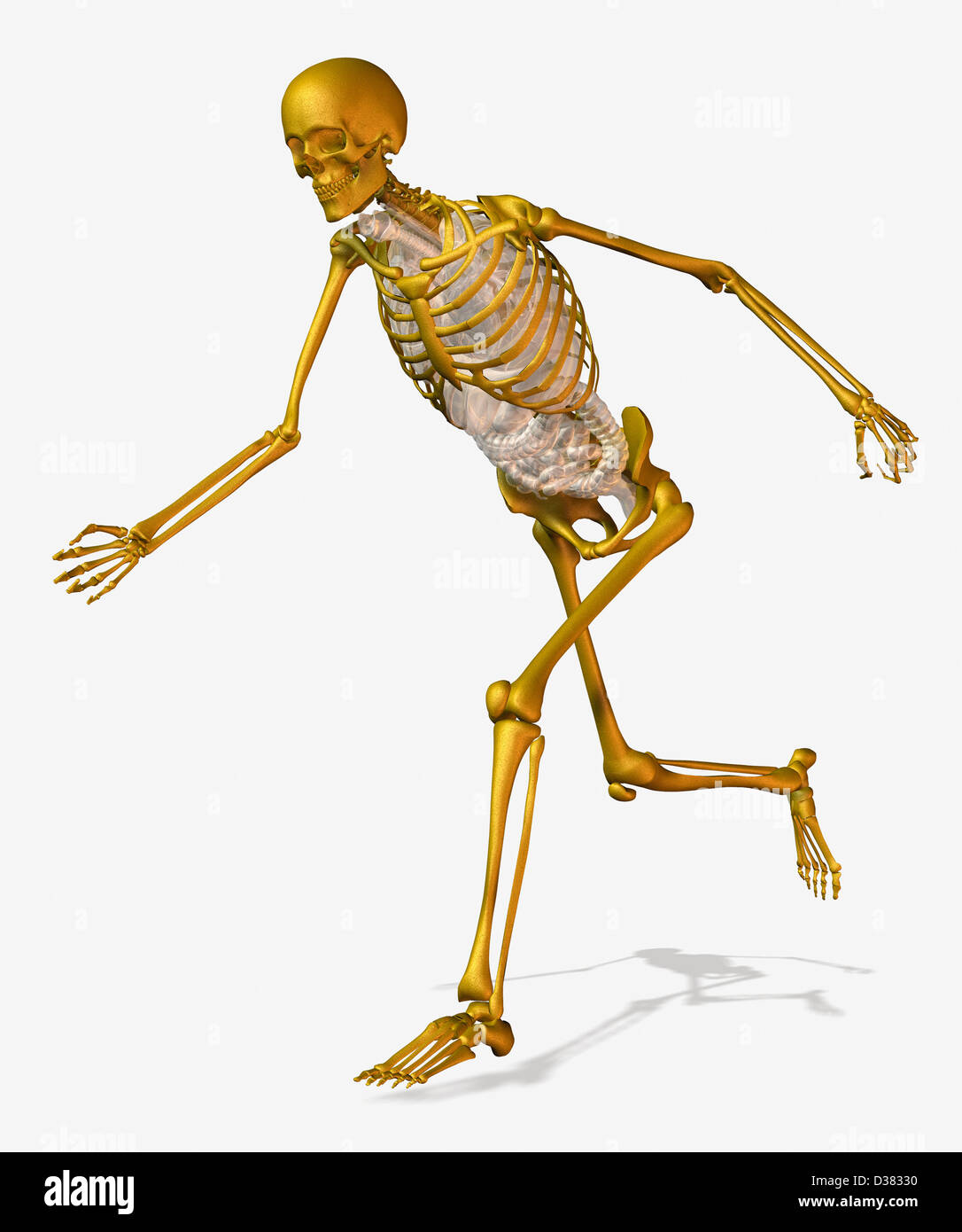 Skeleton action hi-res stock photography and images - Alamy