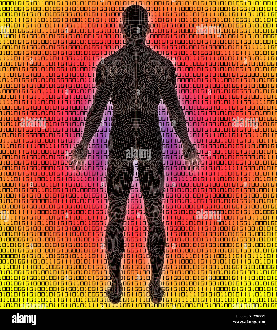 Digitally generated image of human representation Stock Photo - Alamy