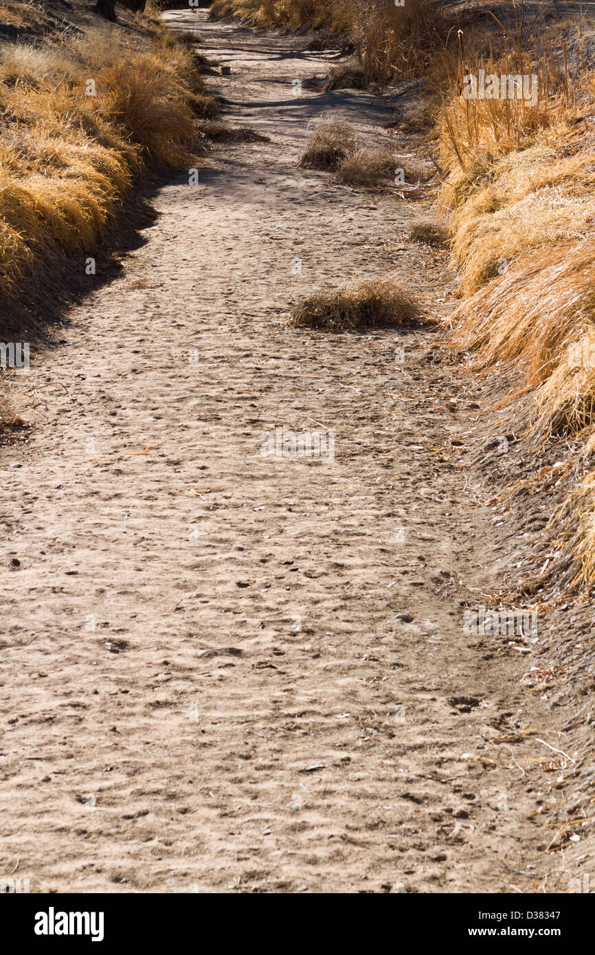 Drainage ditch without water Stock Photo - Alamy