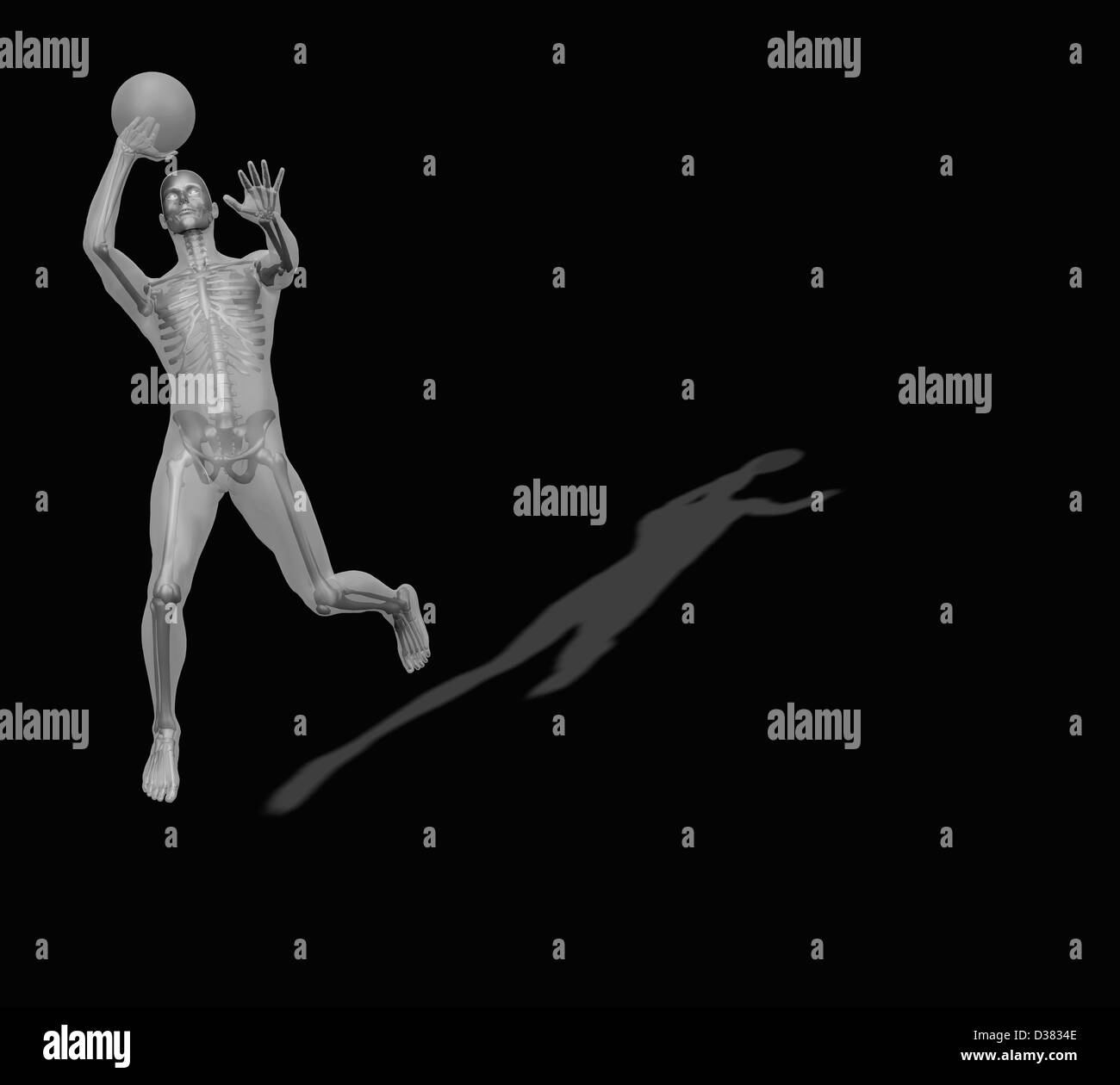 Human skeleton playing basketball hi-res stock photography and images ...