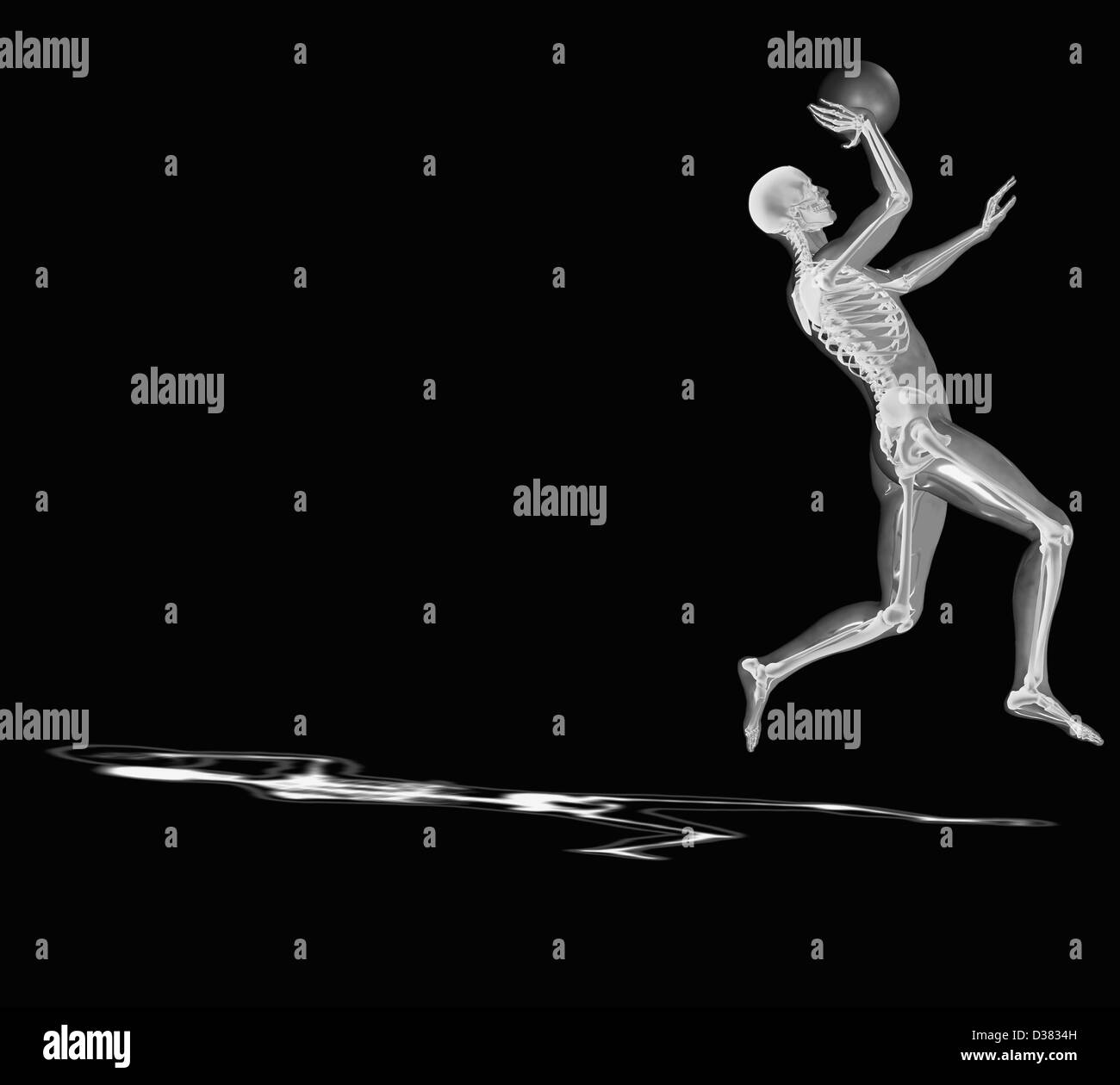 Human skeleton playing basketball hi-res stock photography and images ...