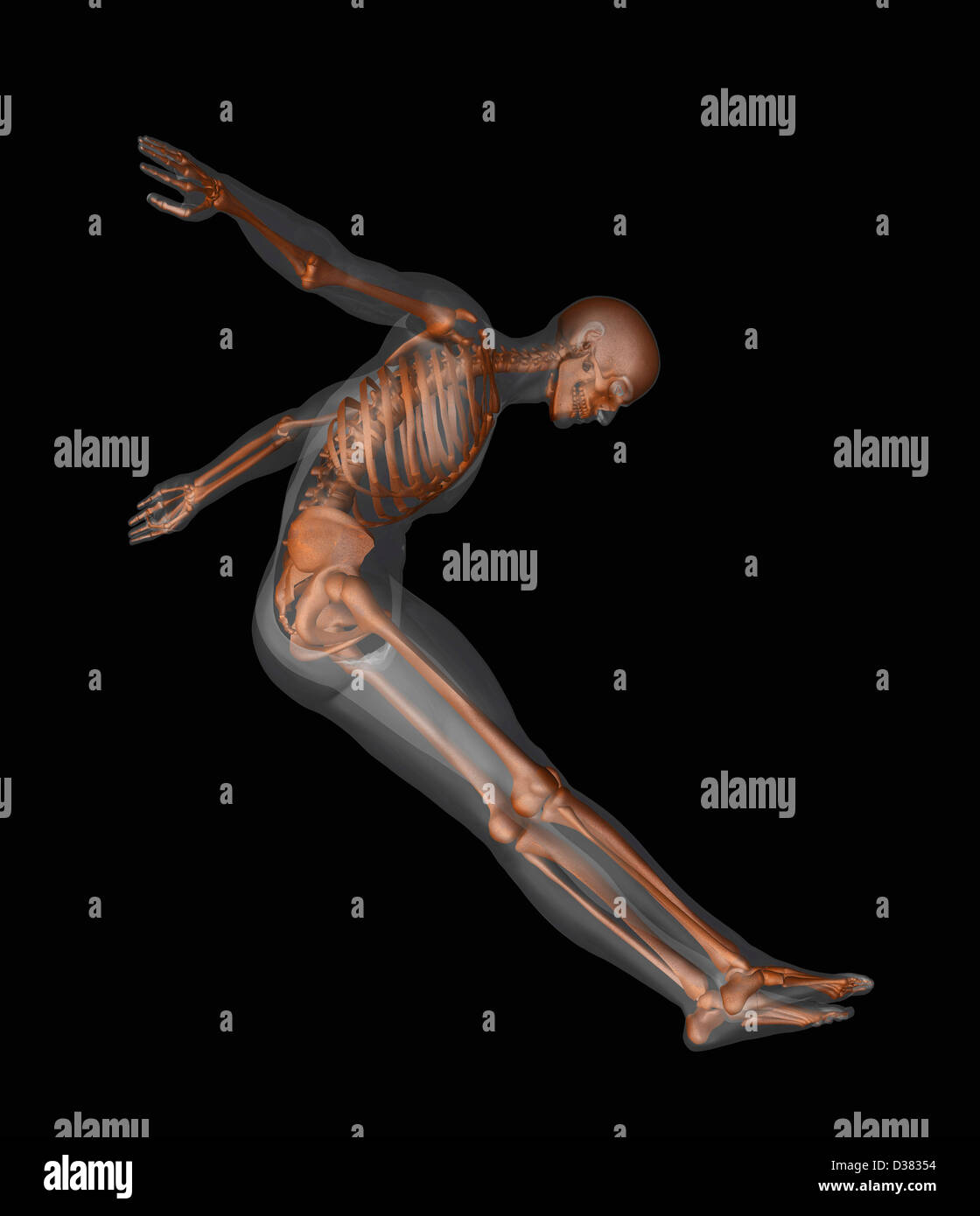 Human skeleton jumping mid-air Stock Photo - Alamy