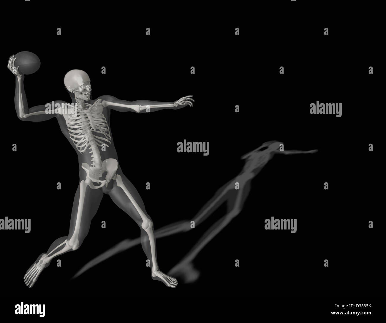 Human skeleton throwing ball Stock Photo - Alamy