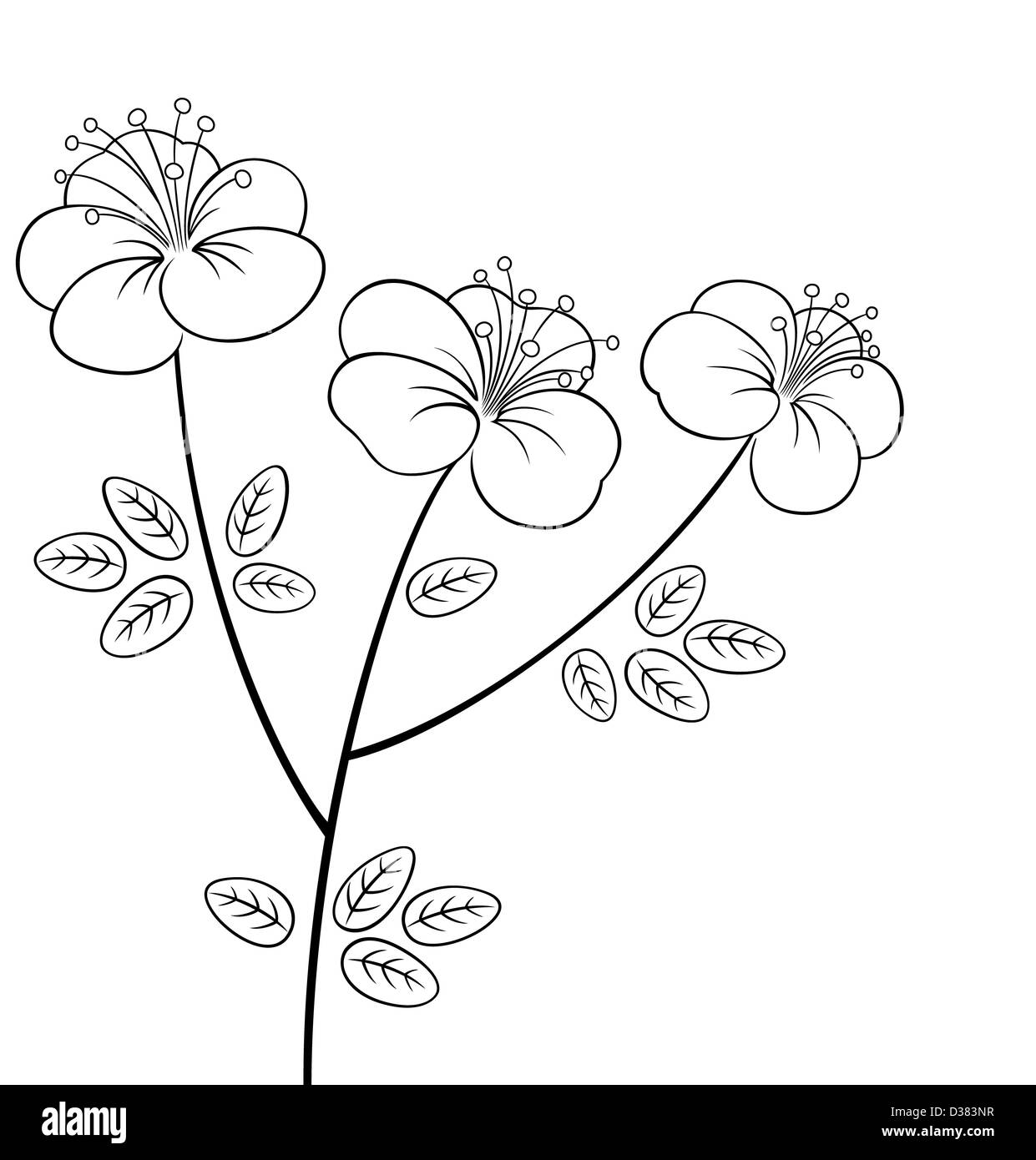 Pretty flower line-art Stock Photo - Alamy