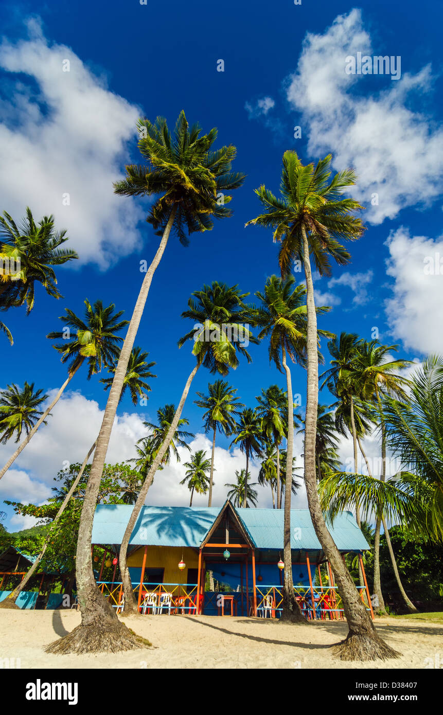 Colorful beach shack and palm trees in San Andres y Providencia ...