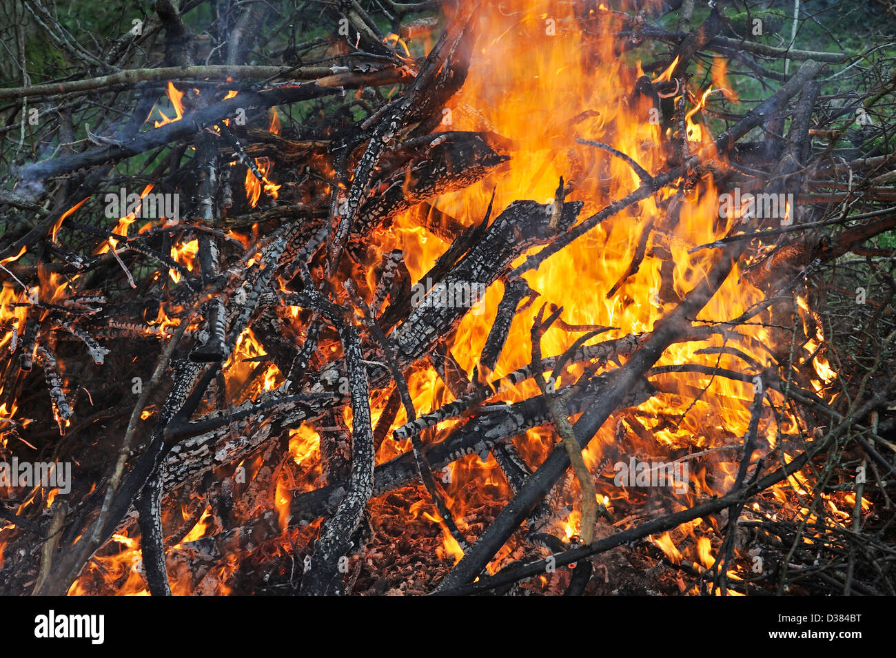 An outdoor fire, burning garden debris and branch trimmings Stock Photo ...