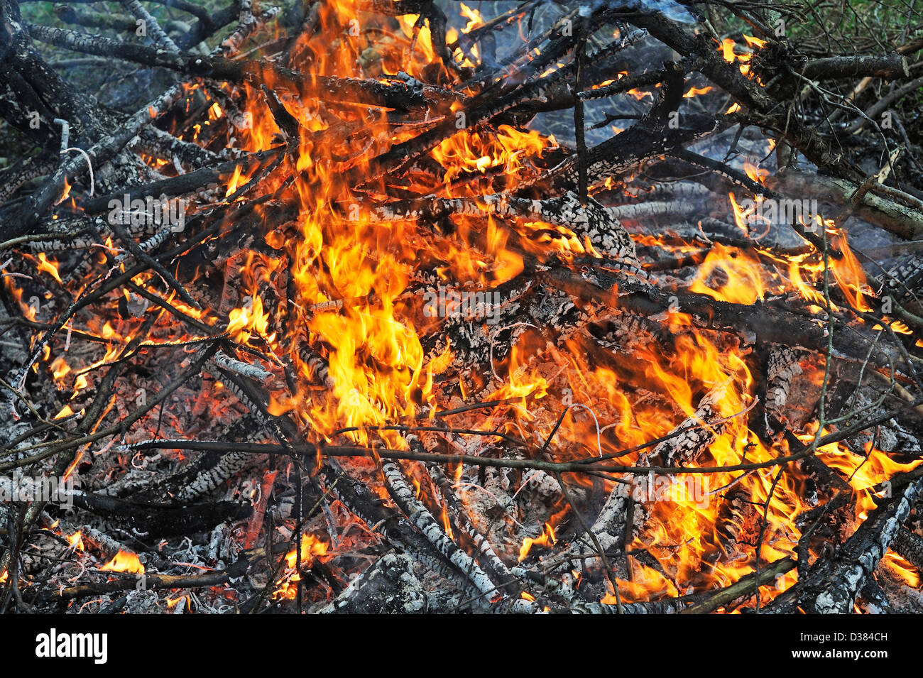 An outdoor fire, burning garden debris and branch trimmings Stock Photo ...