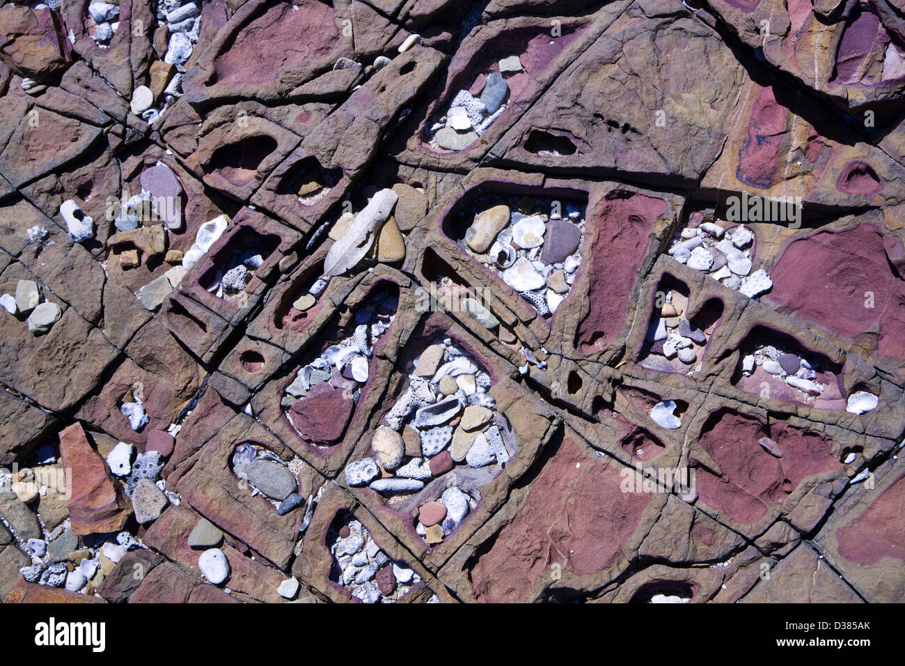 Bizarre sandstone formations seen at Raft Point, Collier Bay, in the ...