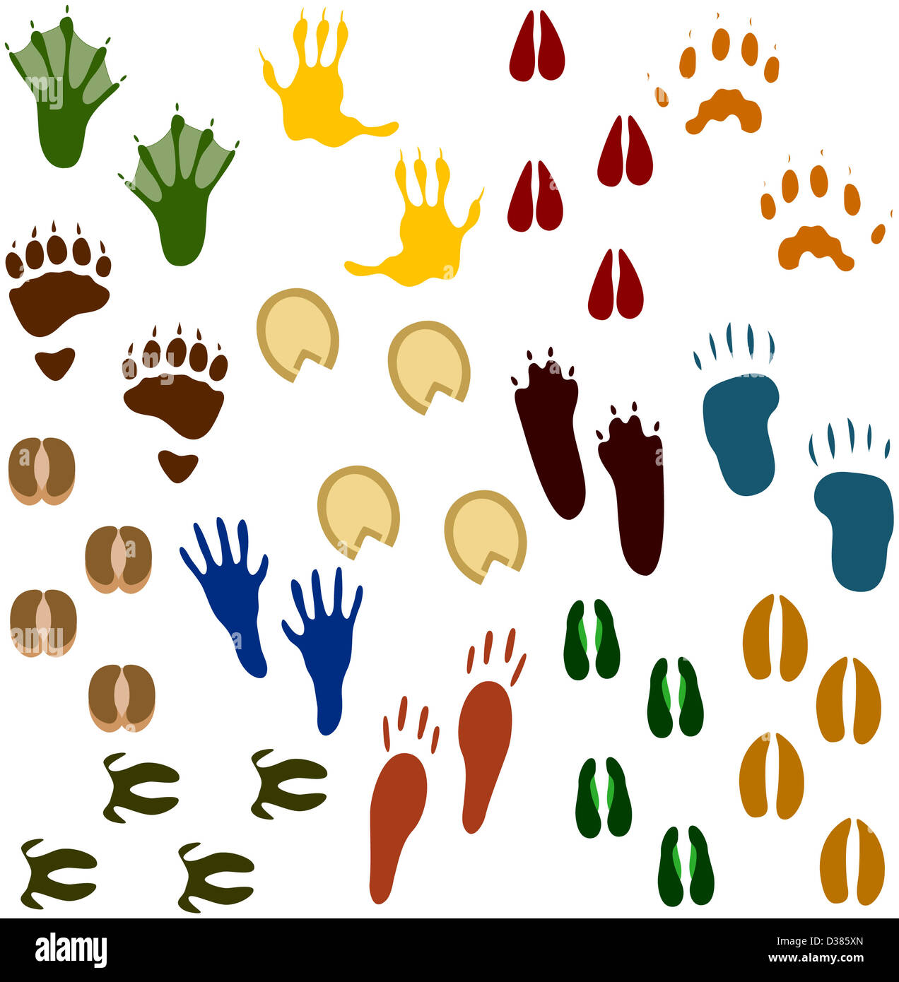 Pig tracks hi-res stock photography and images - Alamy