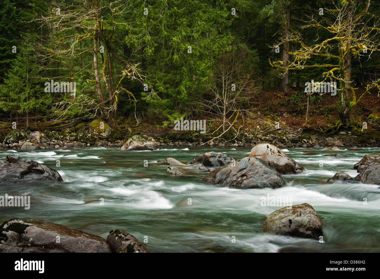 The middle fork of the Snoqualmie River in western Washington State is ...