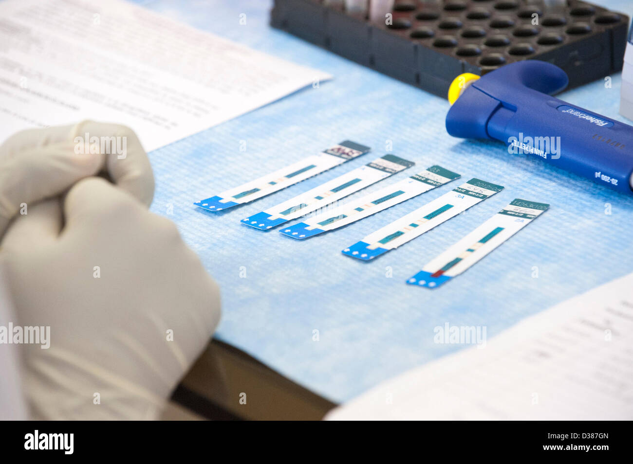 Feb. 5, 2013 - Port-Au-Prince, Haiti - February 5, 2013, Port-au-Prince ...