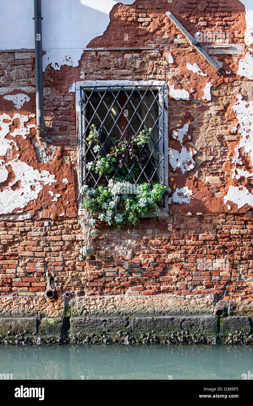 Venitian window - an old brick wall with flaking plaster along one of ...