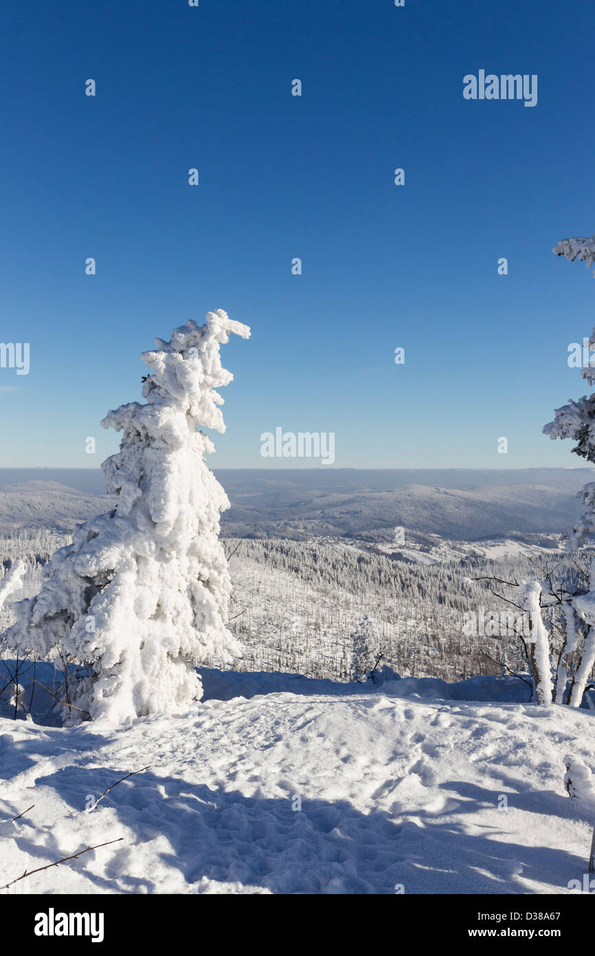 winter in bavarian forest, germany Stock Photo - Alamy