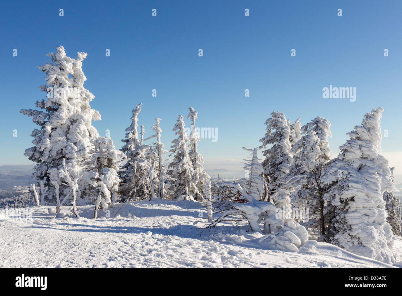 winter in bavarian forest, germany Stock Photo - Alamy