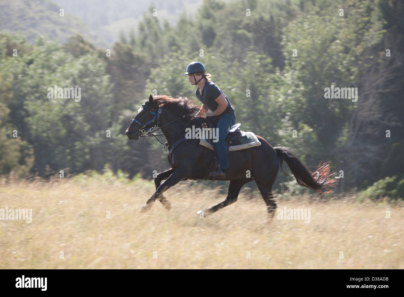 Man riding horse in rural landscape Stock Photo - Alamy