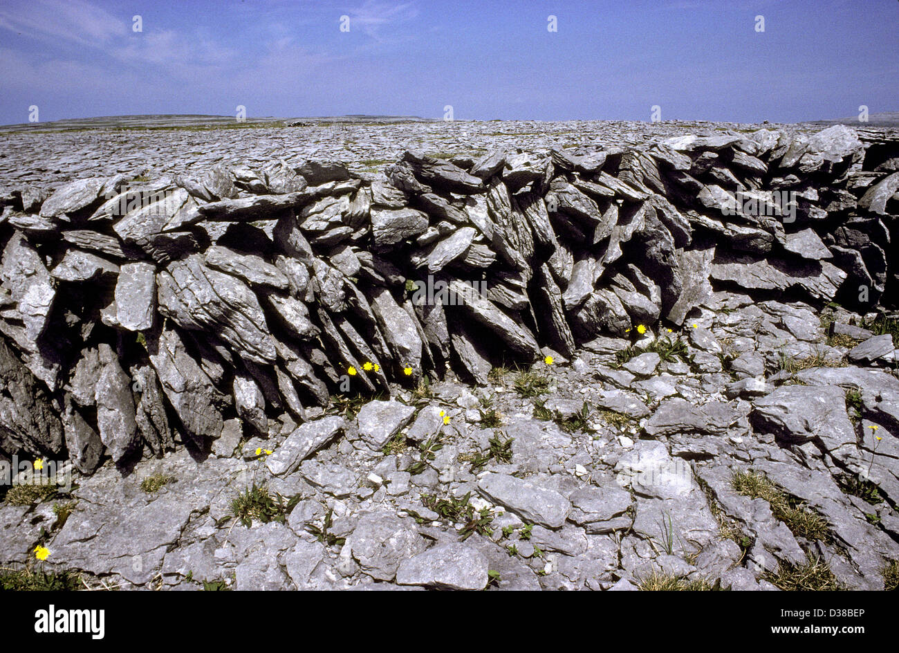 Burren Stone Walls, The Burren, Co Clare, Ireland Stock Photo - Alamy