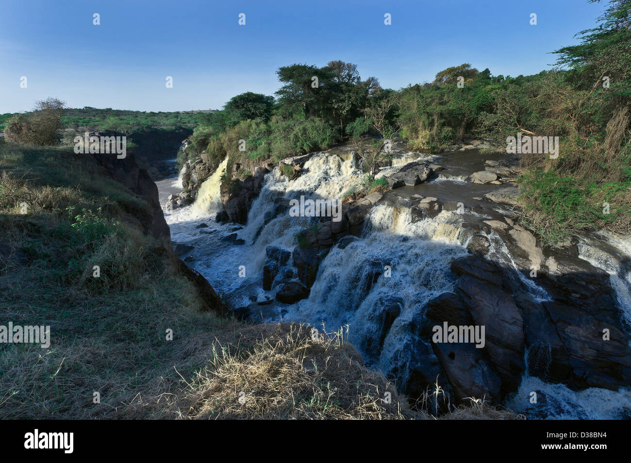 Awash ethiopia river hi-res stock photography and images - Alamy