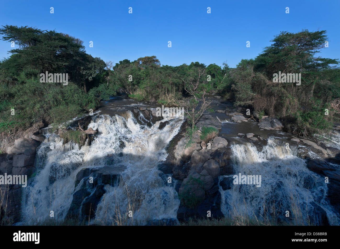 Awash ethiopia river hi-res stock photography and images - Alamy
