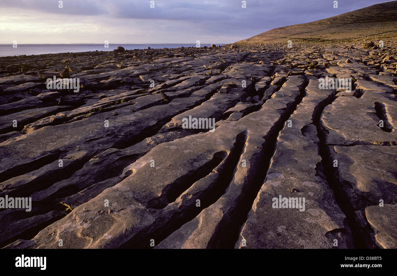 Limestone Pavements, The Burren, Co Clare, Ireland Stock Photo - Alamy