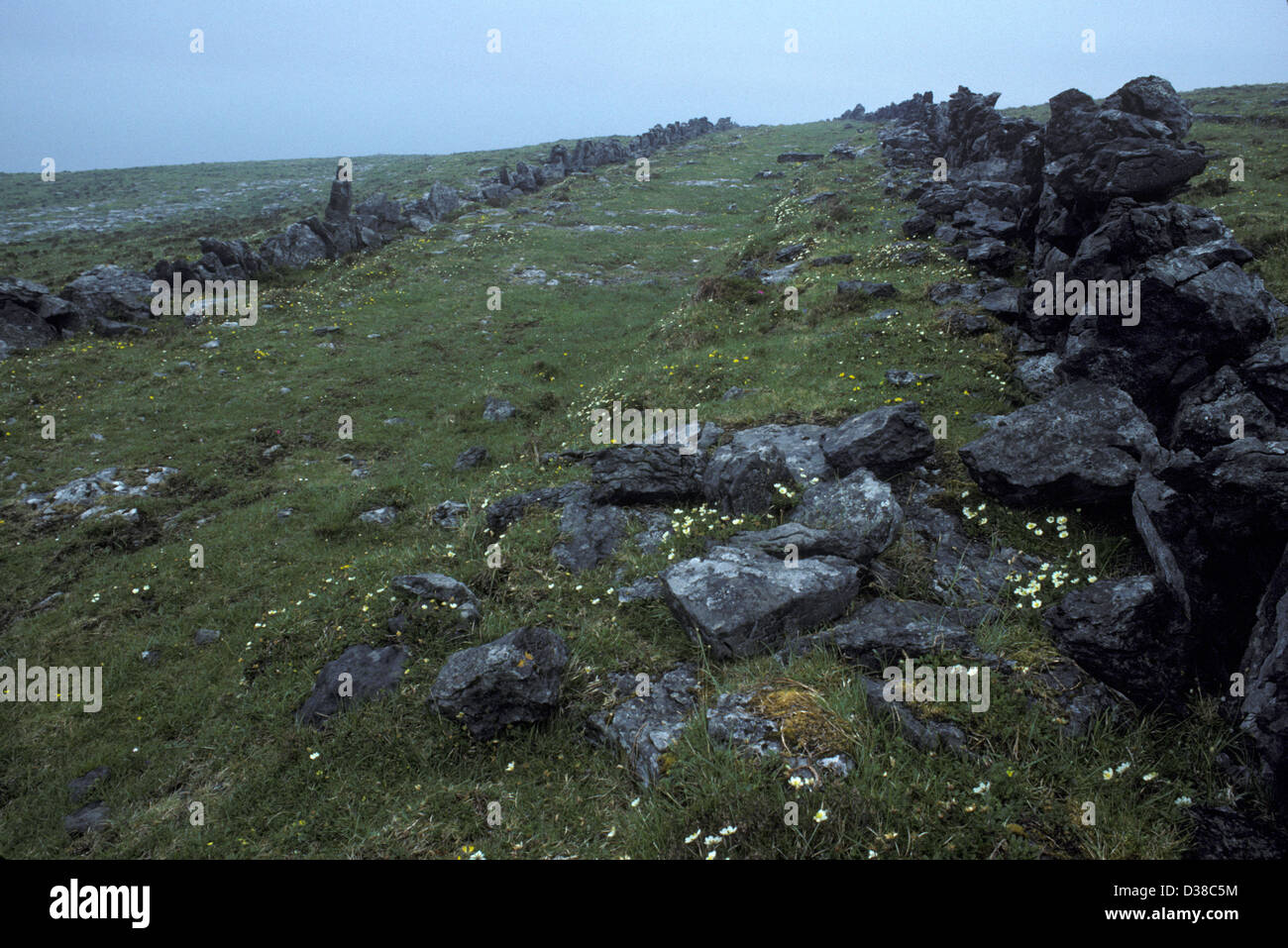 Drovers hi-res stock photography and images - Alamy