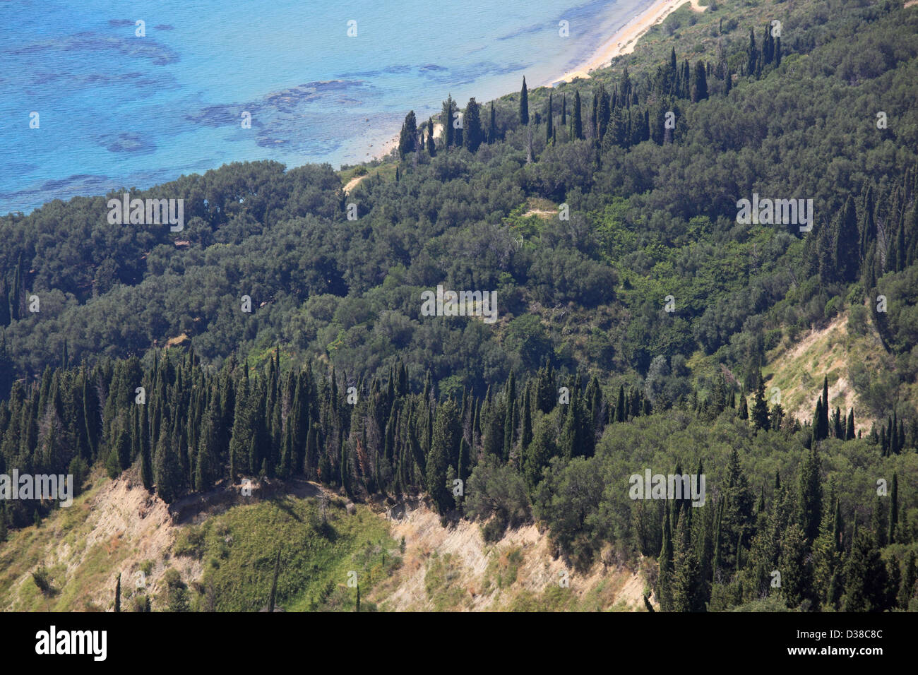 Sea forest landscape hi-res stock photography and images - Alamy