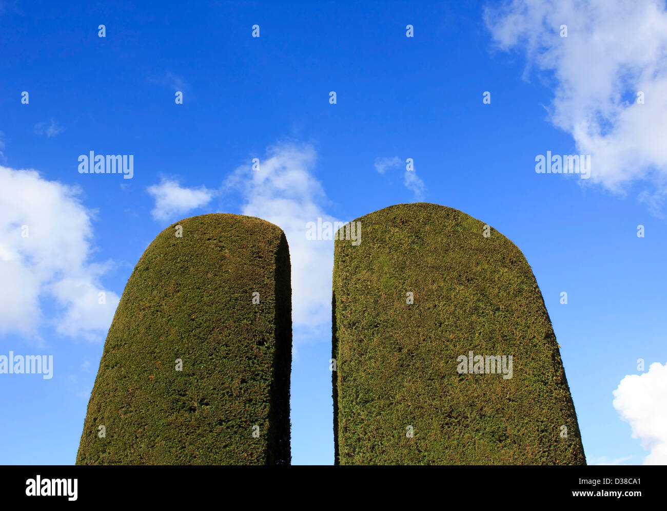 Tall hedges hi-res stock photography and images - Alamy