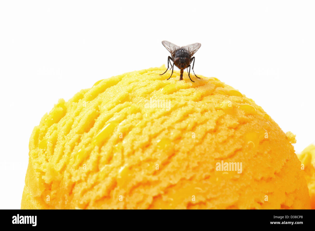 Insect ice cream hi-res stock photography and images - Alamy