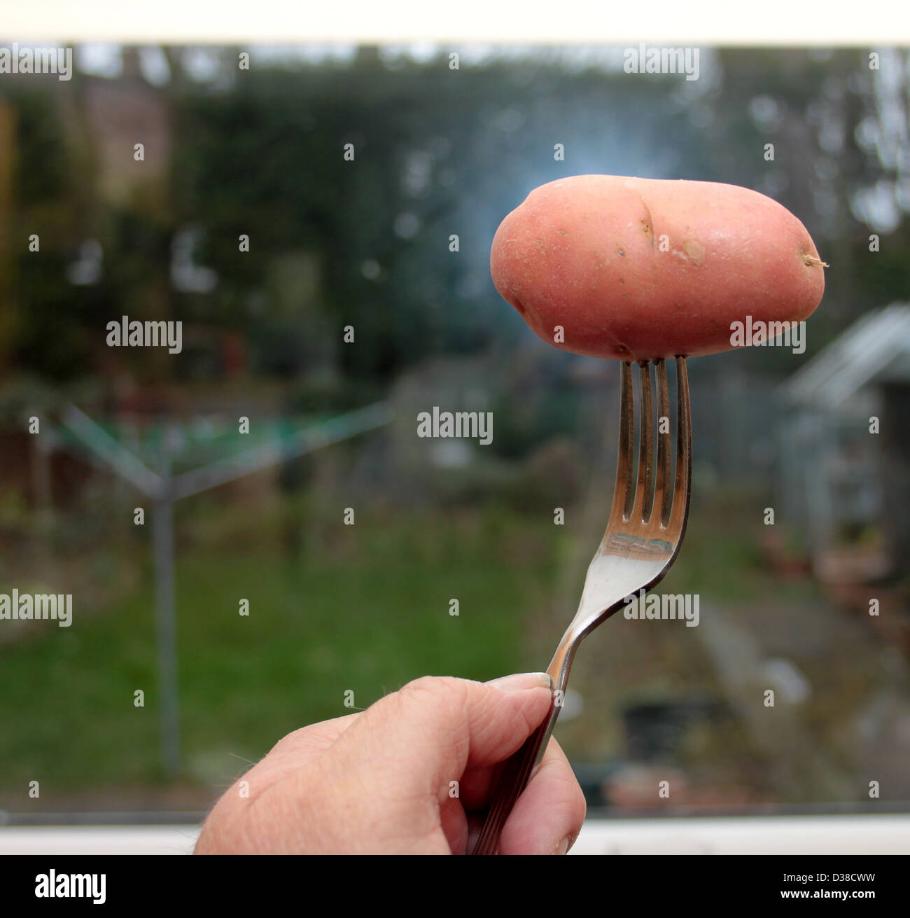 British spuds hi-res stock photography and images - Alamy