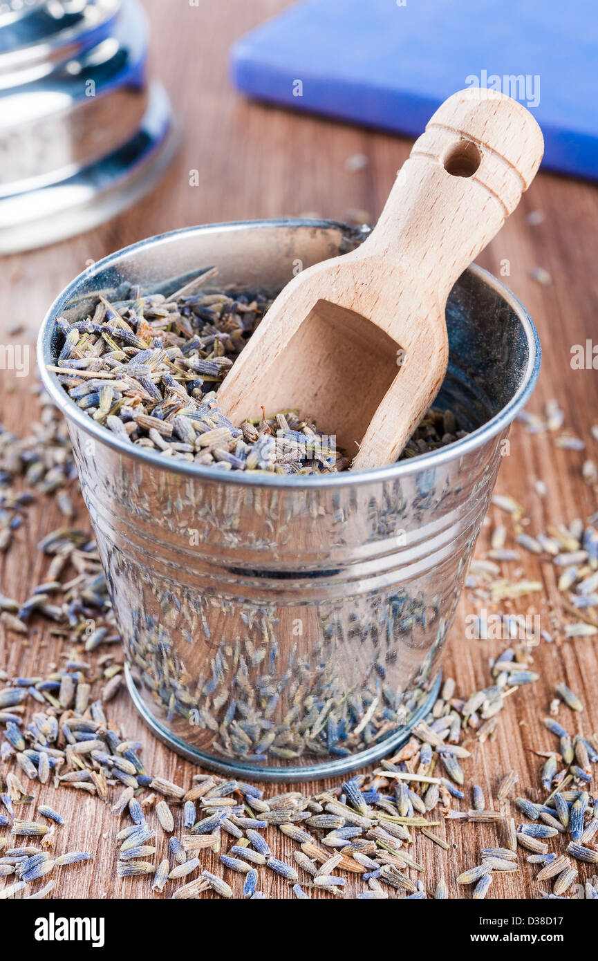 Pail plants hi-res stock photography and images - Alamy