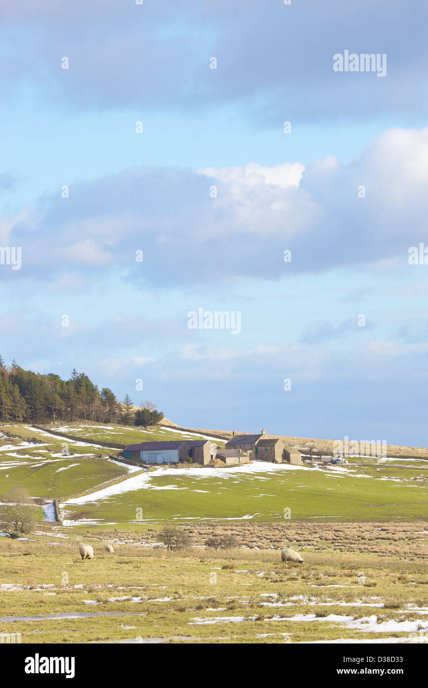 Hot Bank Farm Hadrian's Wall Northumbria England United Kingdom Great ...