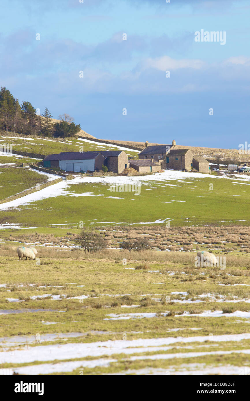 Hot Bank Farm Hadrian's Wall Northumbria England United Kingdom Great ...