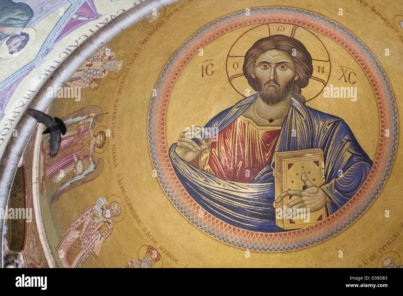 Jerusalem, Israel. 13th February 2013. A dove flies past a painted ...