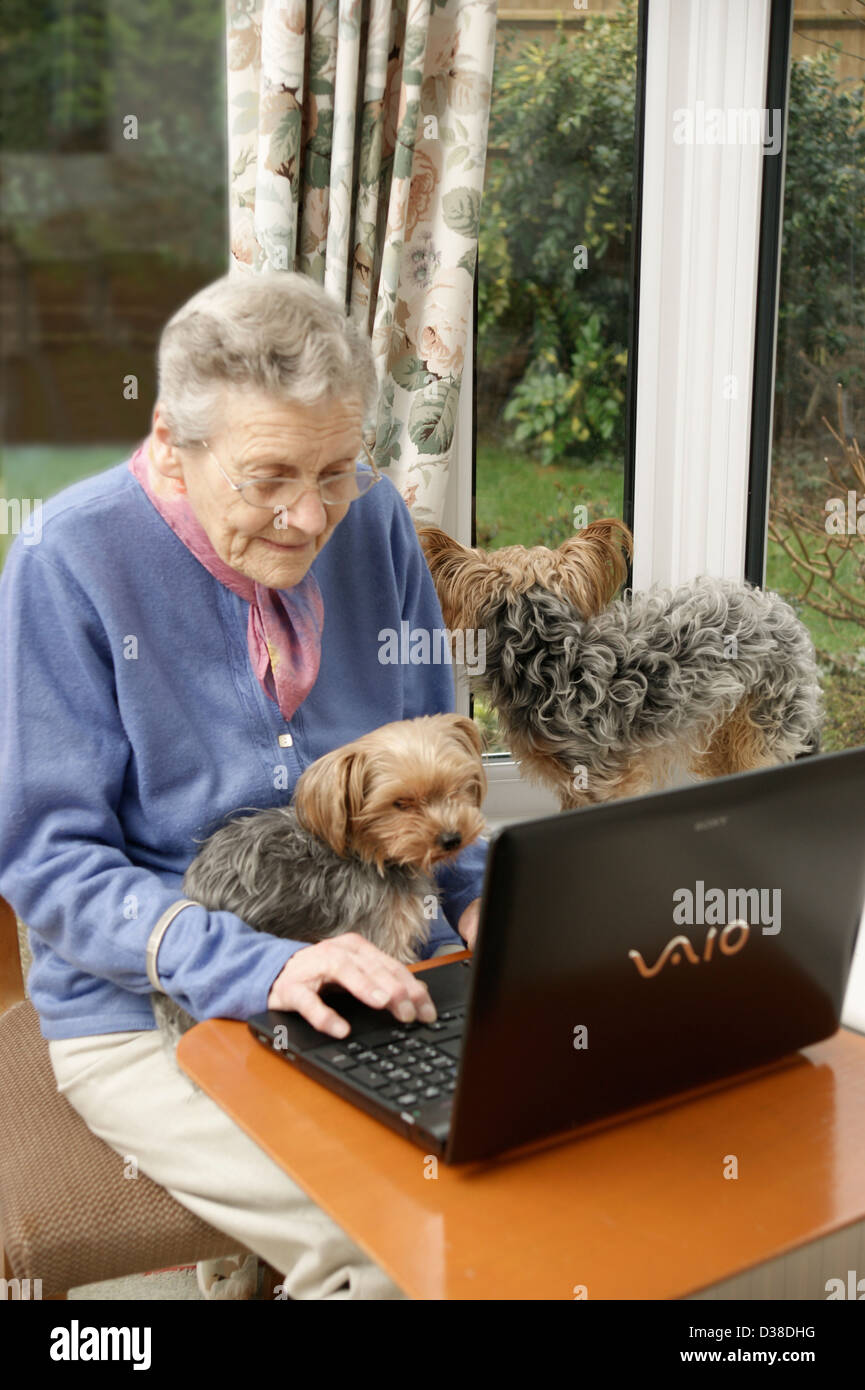 Elderly woman using a laptop computer (many seniors are now computer ...