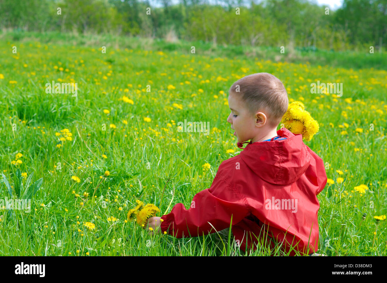 Boy with bug hi-res stock photography and images - Alamy
