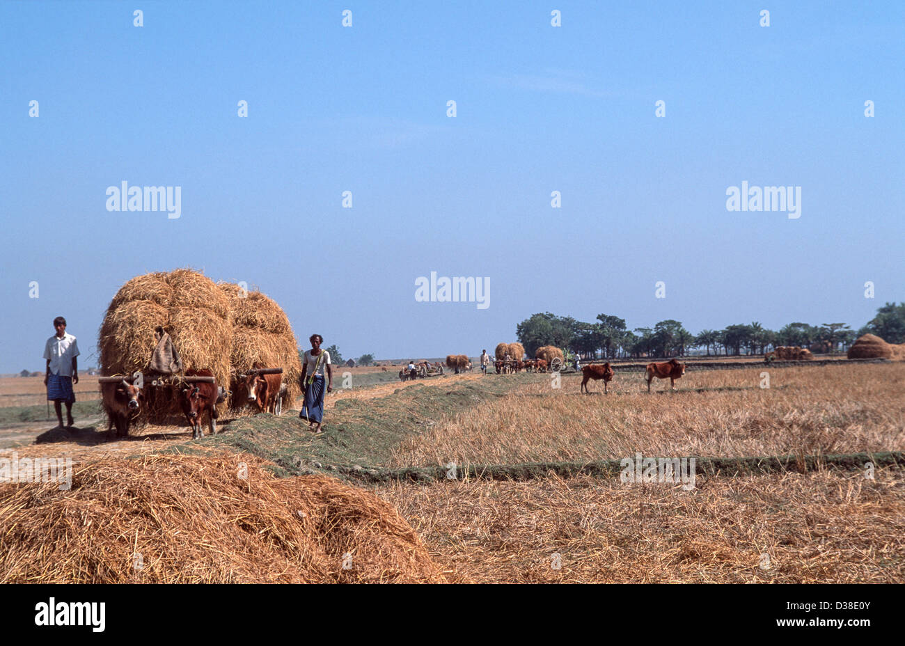 Hay carts hi-res stock photography and images - Alamy