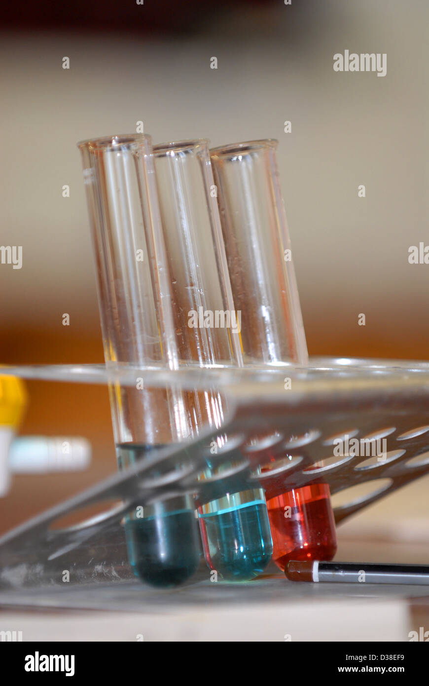 Test tubes in stand Stock Photo - Alamy