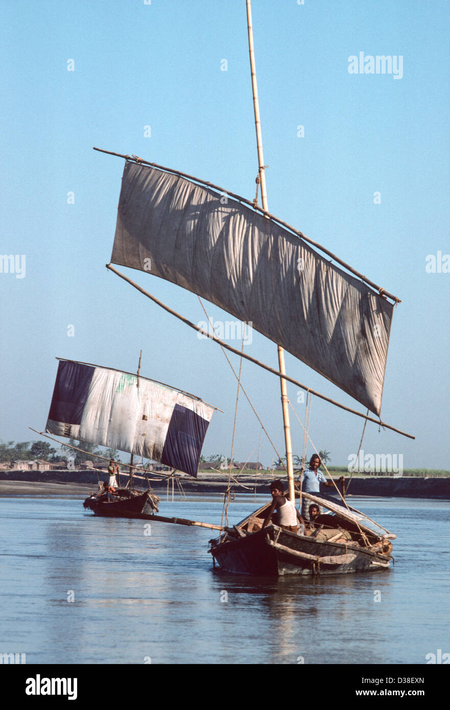 Boats carrying hardwood logs down river from north eastern India near ...