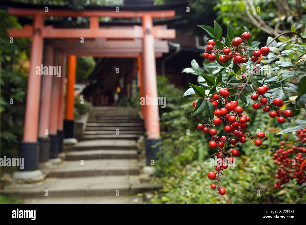 Entrance of the fushimi Inari shrine torii tunnel in Kyoto, Japan Stock ...