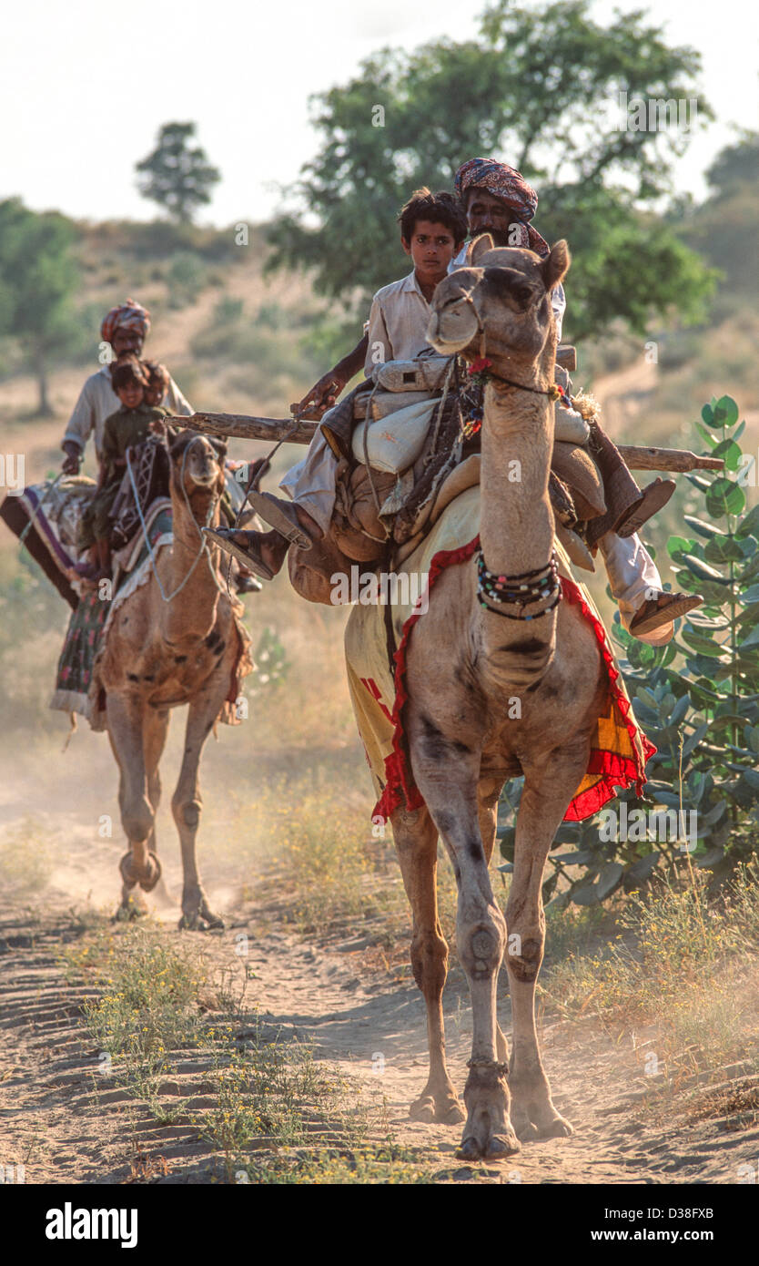 Desert nomads moving camp on camels. Thar Desert, Tharparkar. Pakistan ...
