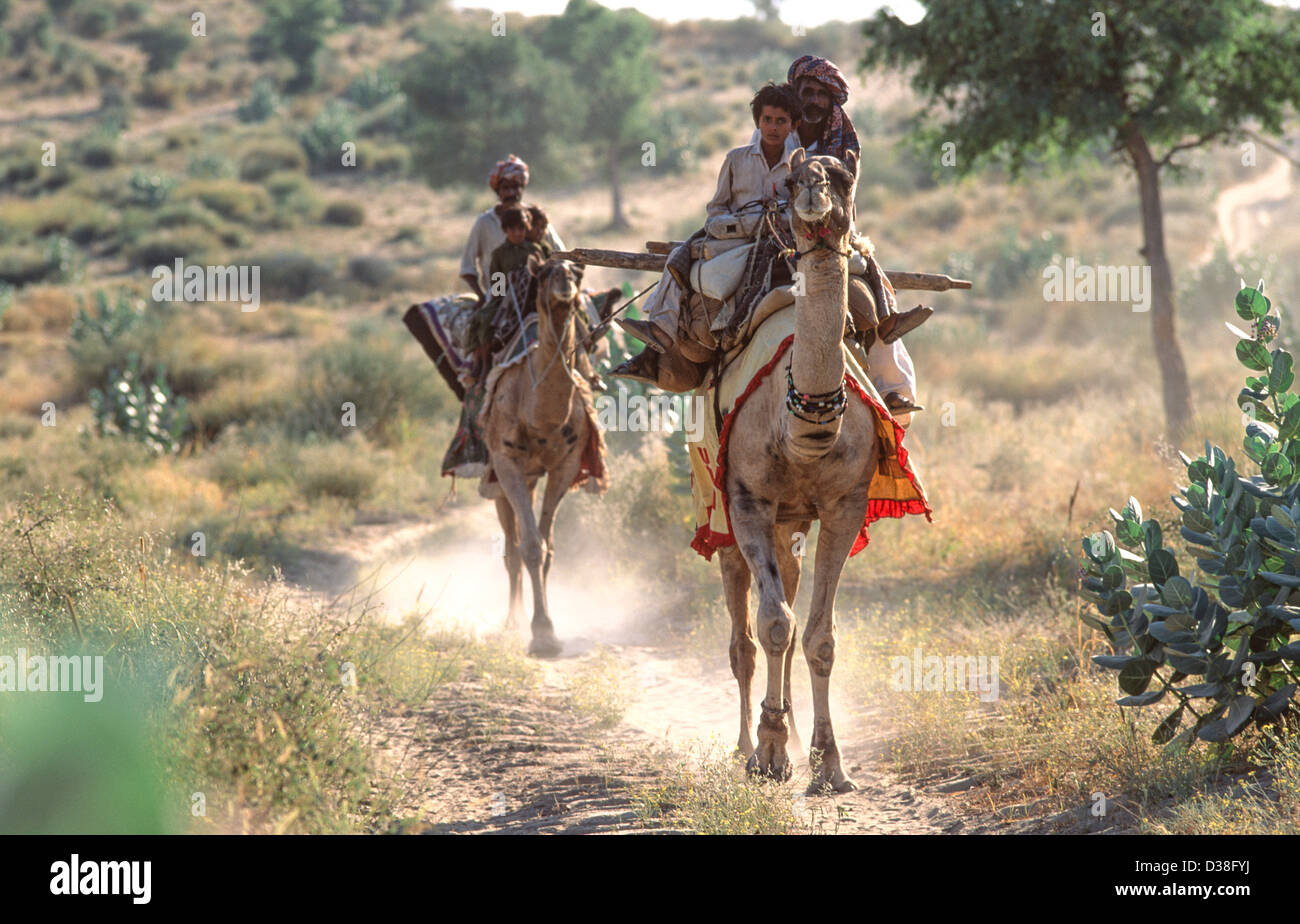Tharparkar Desert