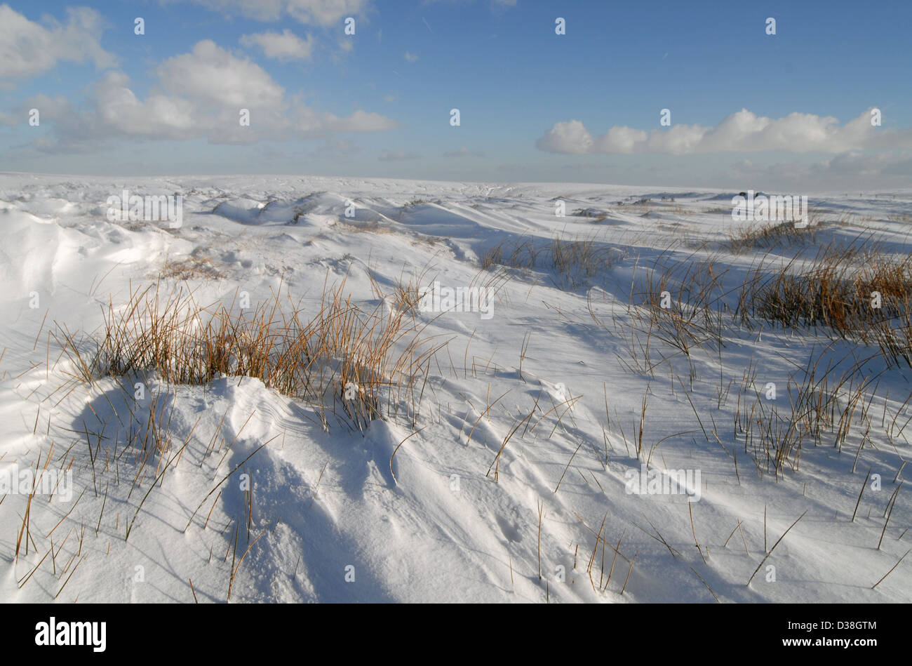 Snow scene, tundra, grass, blue sky, wind blown, freezing, minus, hard ...