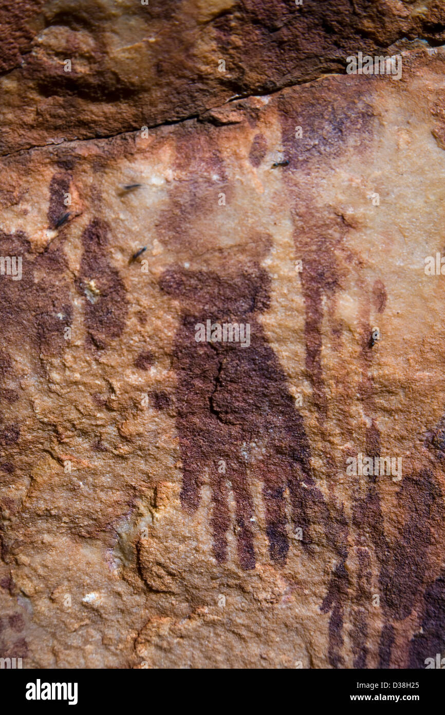 Aboriginal bradshaw rock paintings hi-res stock photography and images ...