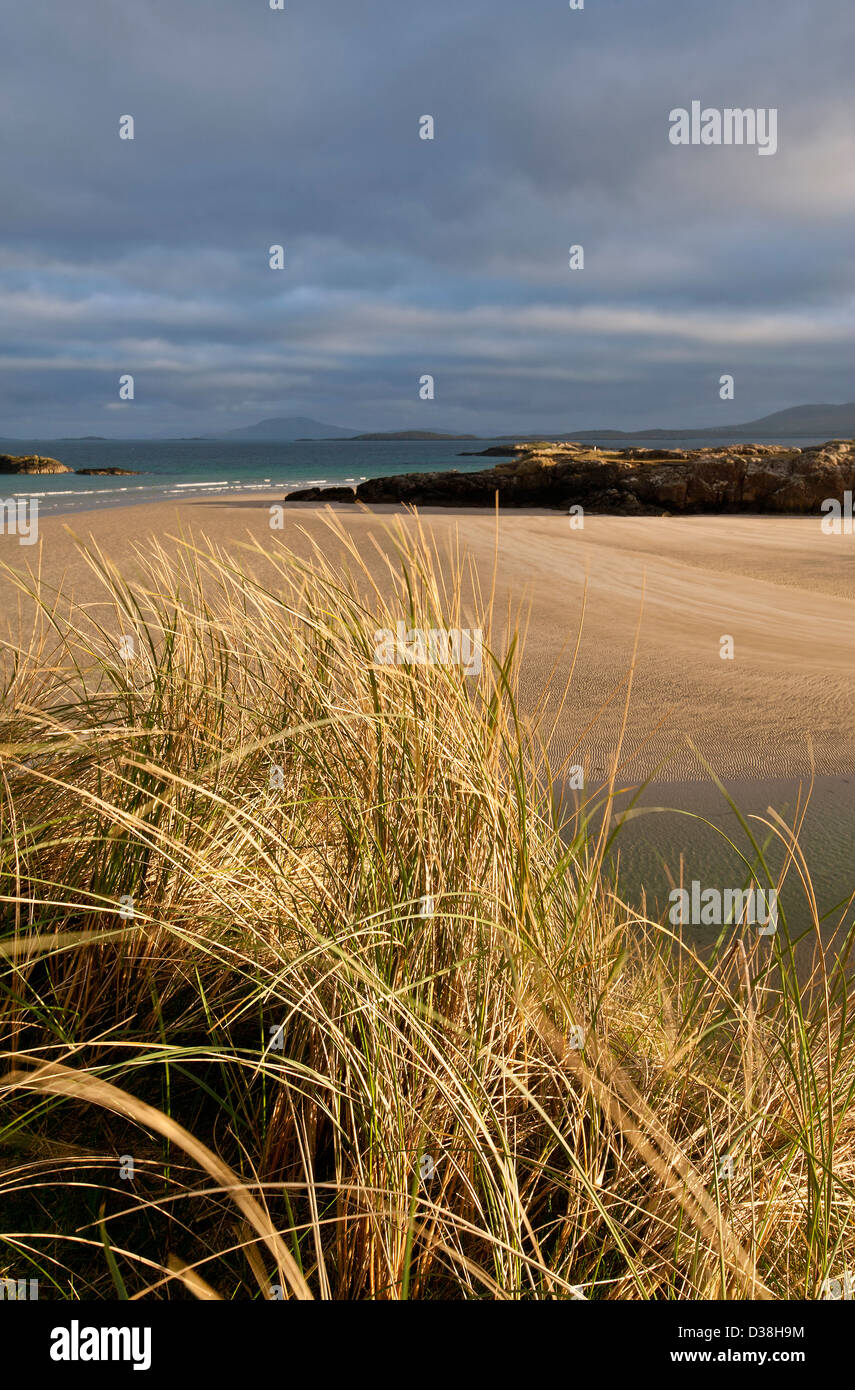 Tall Grass Beach Stock Photos & Tall Grass Beach Stock Images - Alamy